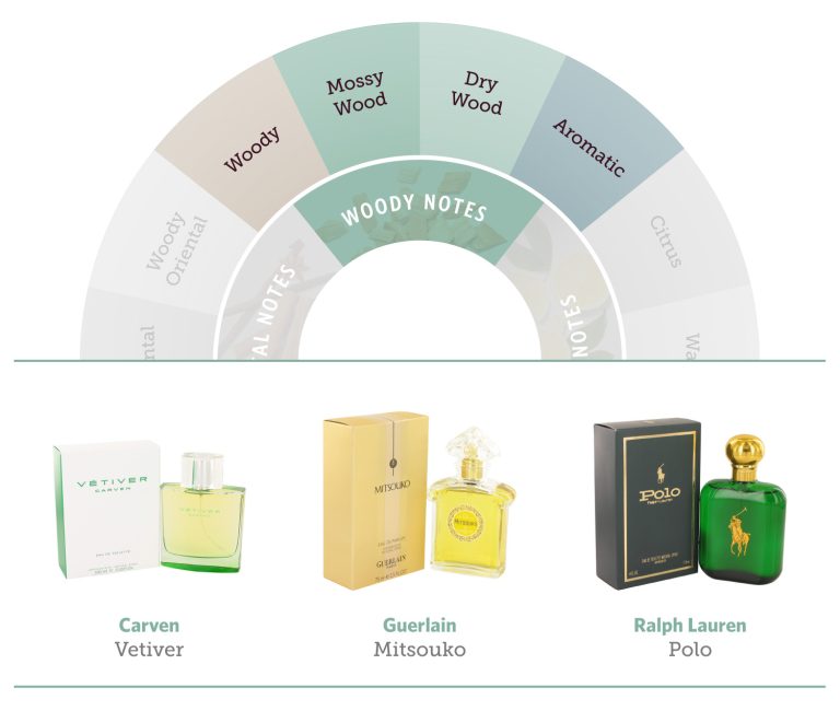 The Fragrance Wheel Explained: All 4 Scent Families (With Chart)