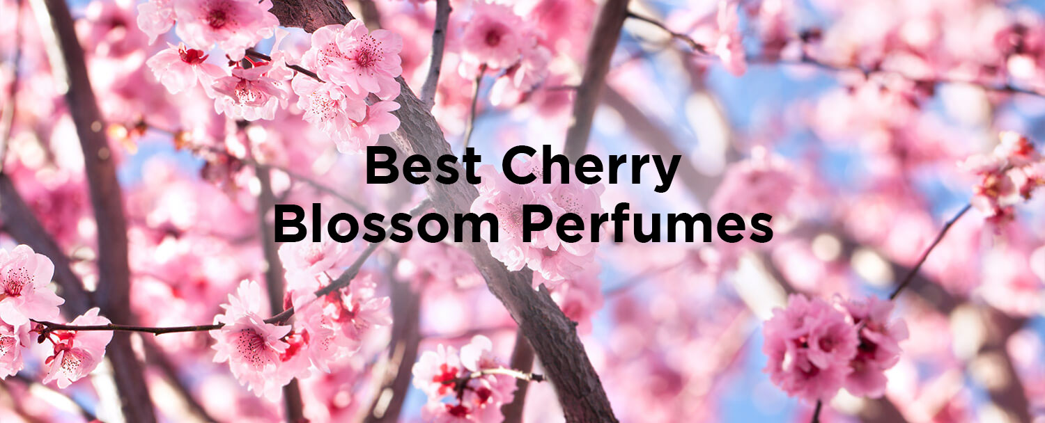 Best Cherry Blossom Perfumes