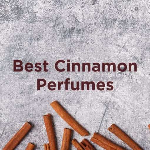 Best Cinnamon Perfumes